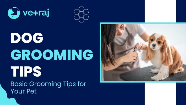 Dog Grooming Tips